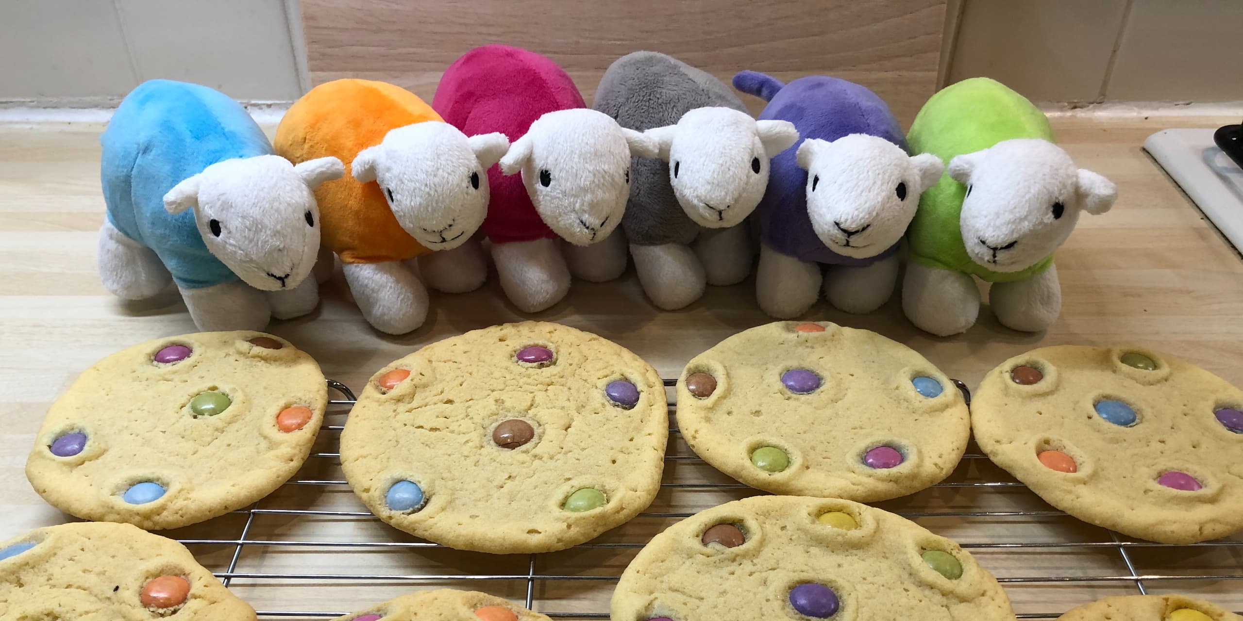 How To Make Smarties Biscuits For Dad - The Herdy Company