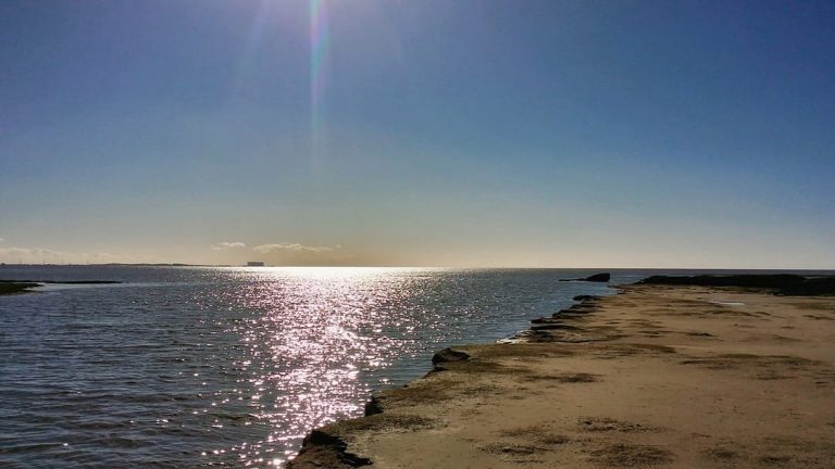 Lake District Winter Walks: New Year, New Ewe | The Herdy Company