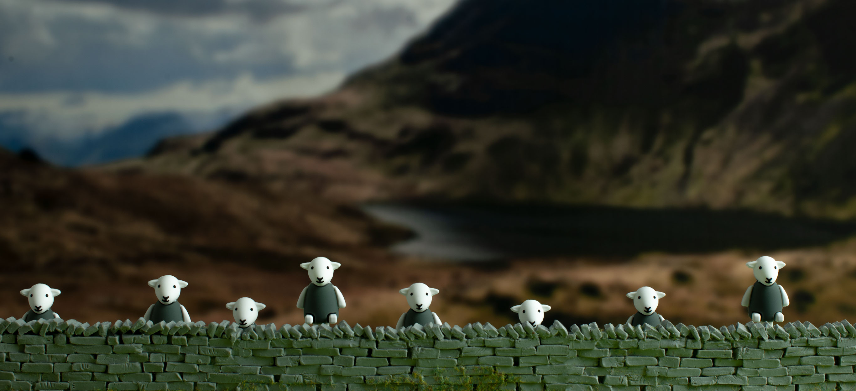 Home | The Herdy Company