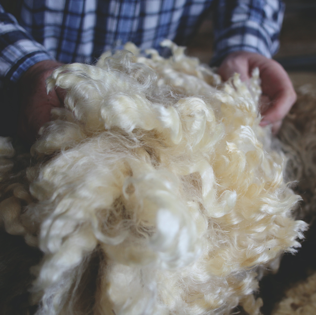 Benefits Of Wool - The Herdy Company