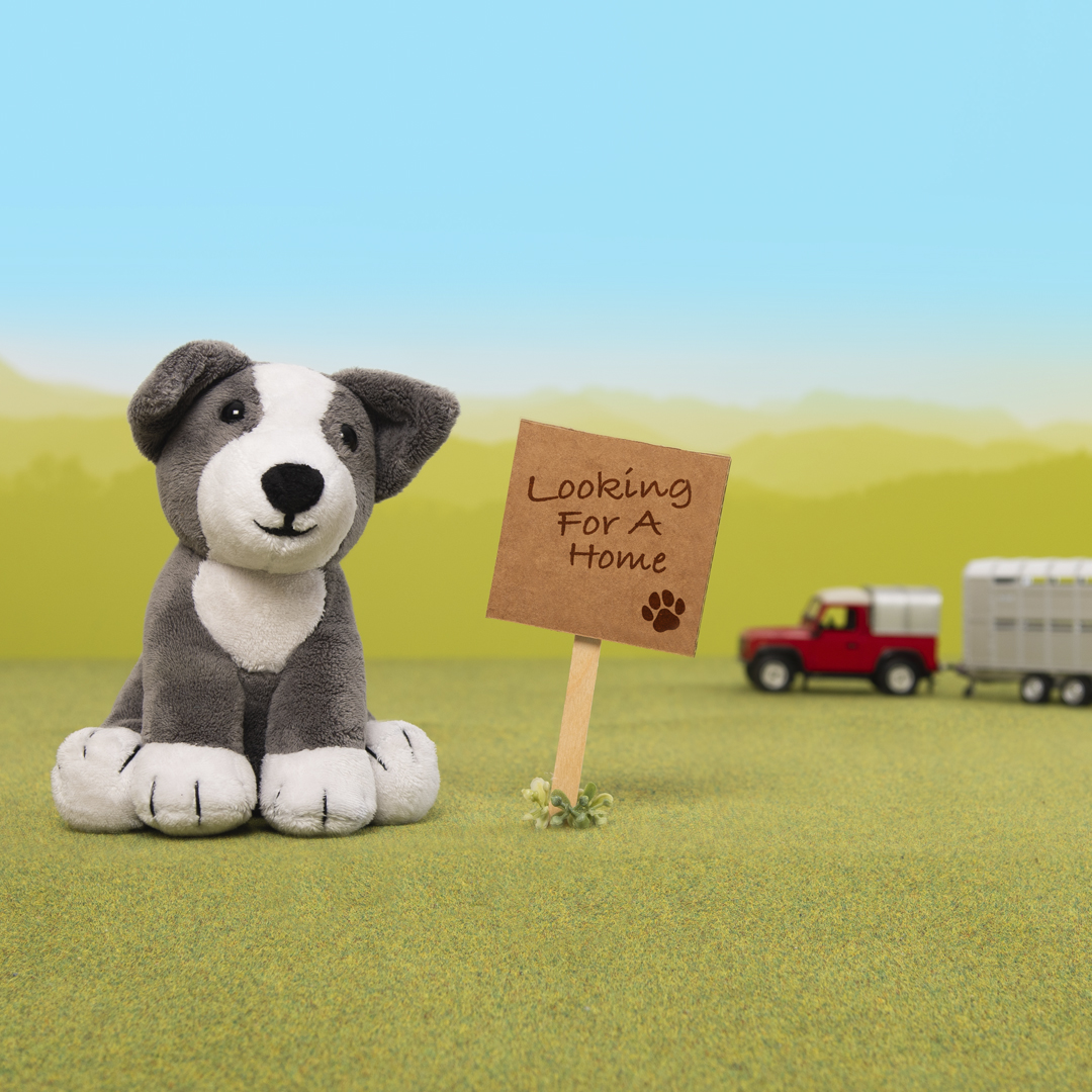 Sheppy Fun Facts - The Herdy Company