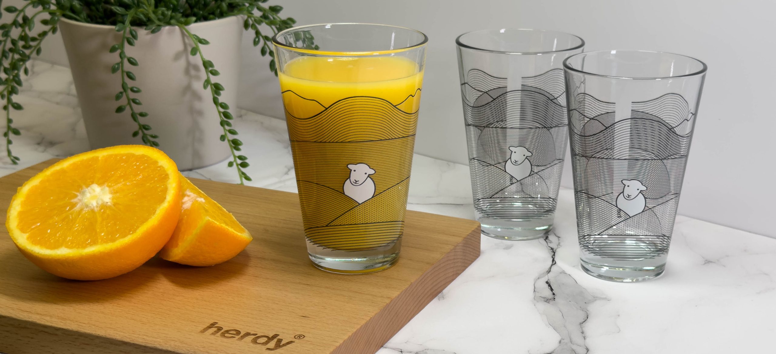 Home - The Herdy Company